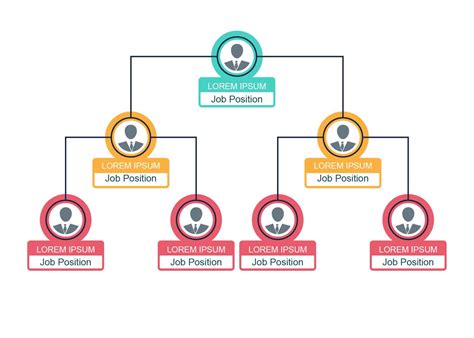 Organogram Template In Word