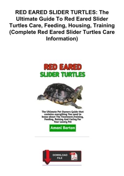 Red Eared Slider Turtles The Ultimate Guide To Red Eared Slider Turtles