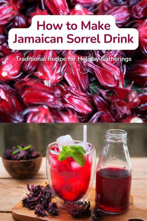 Jamaican Sorrel Drink A Refreshing Caribbean Sip