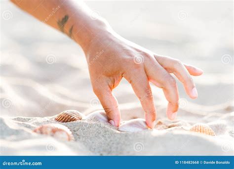 Girl Hand Picking Up Seashells On White Sand Beach At Sunset Stock