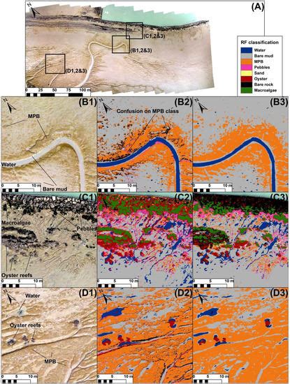 Remote Sensing Free Full Text A Machine Learning Approach To