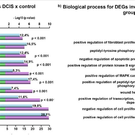 Putative Genes Involved In Ductal Carcinoma In Situ Dcis Progression