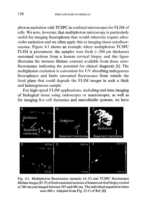 Cervical Imaging Big Chemical Encyclopedia