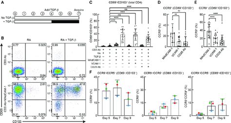 Induction Of Cd69 Cd103 Ccr9 And Ccr5 A Schematic Of Treatment