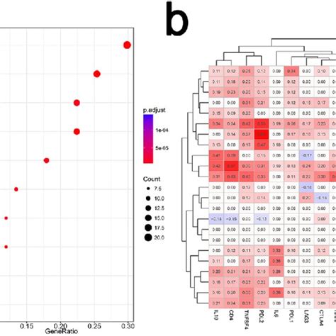 Emt Signature Correlated Pathways And Immune Checkpoint Molecules A