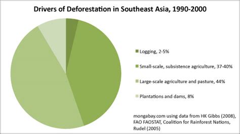 Drivers Of Deforestation