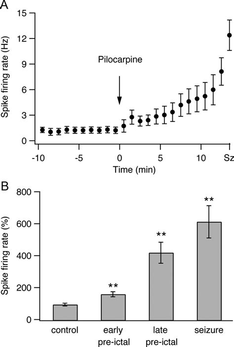Firing Rates Of Individual Neurons During The Development Of
