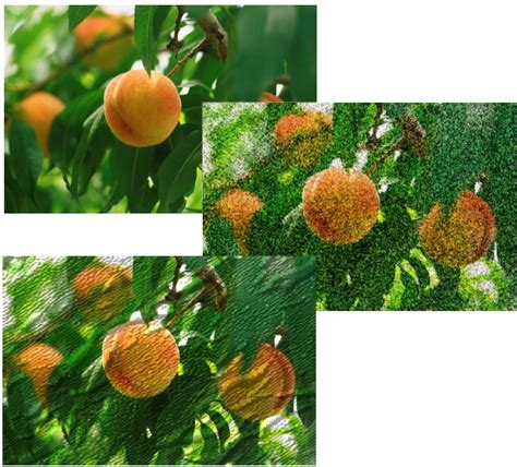 coreldraw help applying new bitmap effects