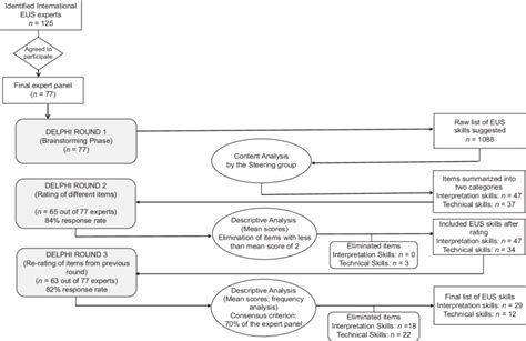 flowchart of the delphi process download scientific diagram