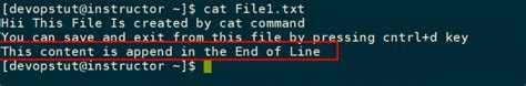 cat command how to view the content of a file in linux devopstut
