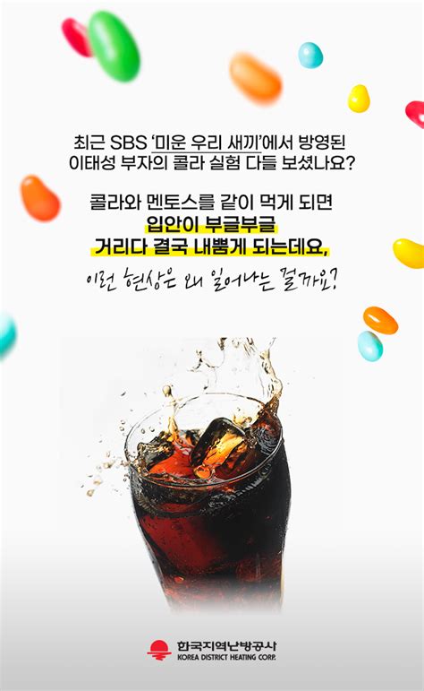 만나기만 하면 싸운다 영원한 앙숙 콜라와 멘토스 네이버 포스트