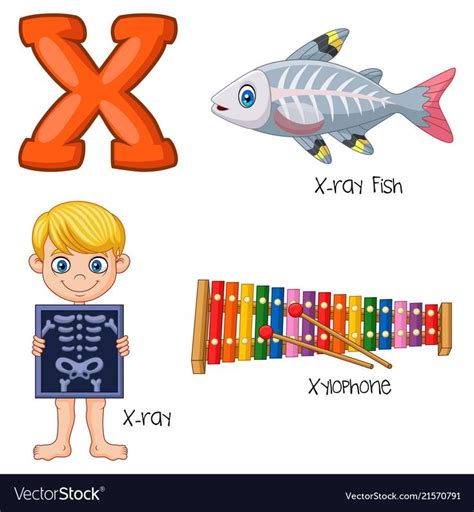 x alphabet vector image on in 2020 alphabet worksheets preschool