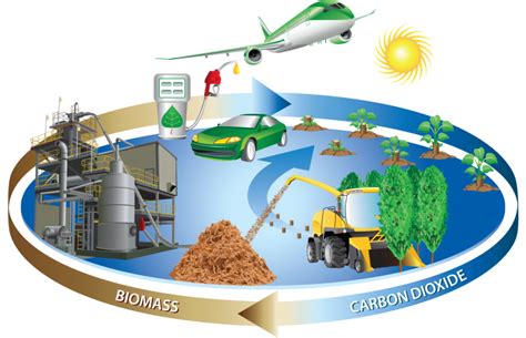 Biodiesel Merupakan Sumber Energi Alternatif Yang Ramah Lingkungan