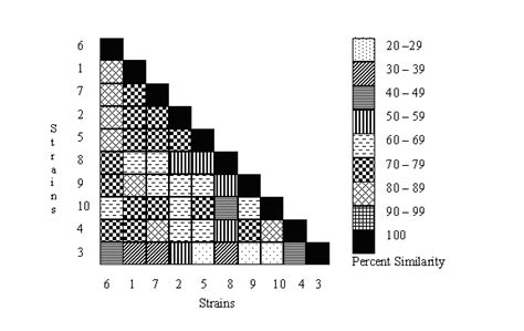 Zach Burke Similarity Matrix