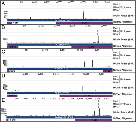 sex differences in microrna mrna networks examination of novel