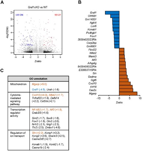 Microarray Analysis Of Rnas Differentially Expressed In Skeletal Muscle