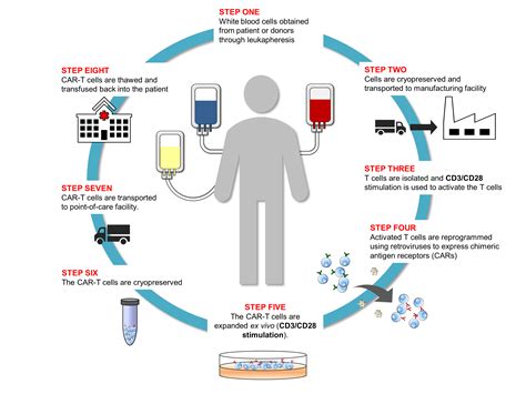 T Cell Gene Therapy