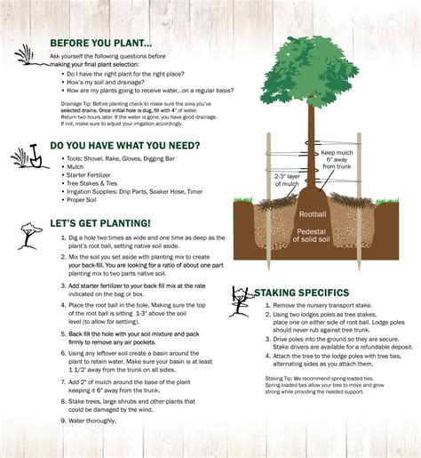 Fruit Tree Fertilizer Guide Home And Garden Reference