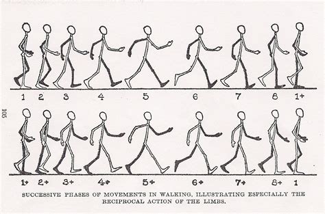 walk cycle animation pixxel8me animation storyboard animation