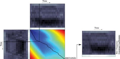 color online alignment of two encoded australasian gannet call