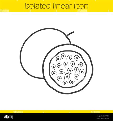 Passion Fruit Linear Icon Thin Line Illustration Contour Symbol