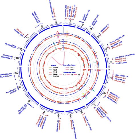 Circos Diagram Complete Results Of Quantitative Trait Loci Qtl And