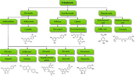 Classification Of Polyphenols And Chemical Structure Of A Compound In