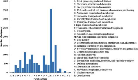 Cog Classification Of The E Vivipara Unigenes The Unigenes Were