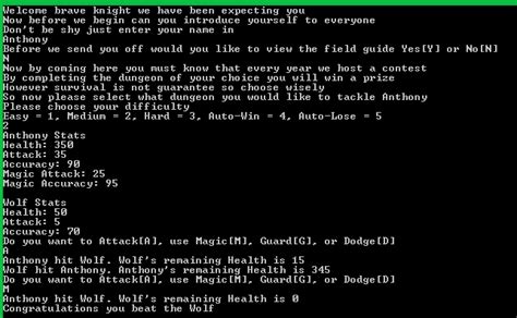 programming examples anthony s e portfolio