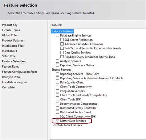 installation and configuration sql server master data services