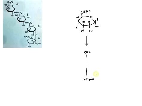 Solved Select The Name For Any Of The Carbohydrate Molecules Shown