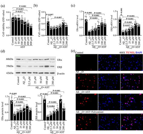 Ast Treatment Suppressed Aβ1−42o Induced Neuronal Cell Death And Er