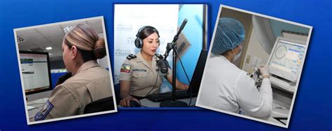 Estos Son Los Requisitos Para Aspirantes Profesionales A Servidores
