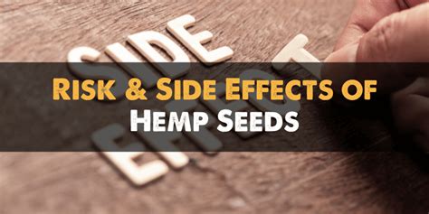 Hemp Seed Benefits The Ultimate Guide