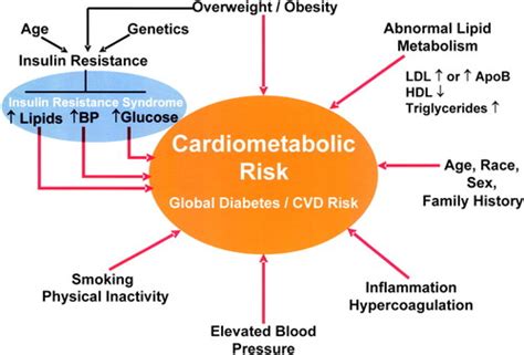 Metabolic Syndrome Circulation