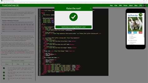 freecodecamp responsive design with bootstrap youtube