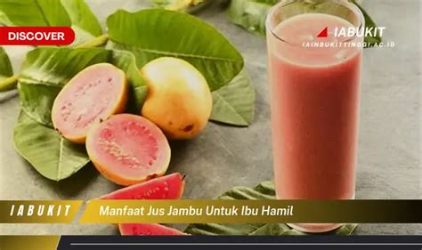 Temukan 7 Manfaat Jus Jambu Untuk Ibu Hamil Yang Jarang Diketahui