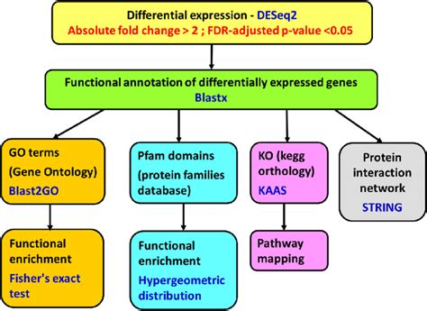 Scheme Of The Methods Employed For Differential Gene Expression