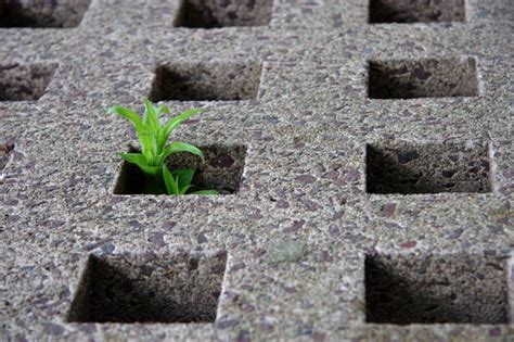 cement python framework for building command line
