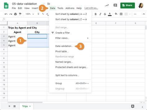 data validation customguide