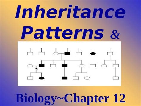 Ppt Biology~chapter 12 Inheritance Patterns And Human Genetics