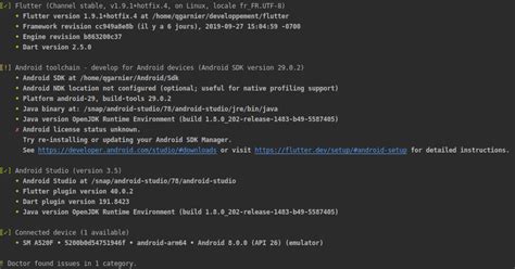 can t run flutter app sends crash report while initializing gradle
