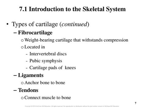 Chapter 07 Lecture Outline Ppt Download
