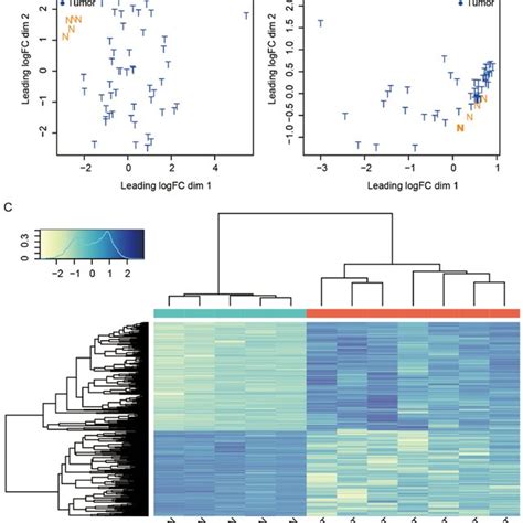 Multidimensional Scaling Mds Analysis Of The 55 Hcc Samples A