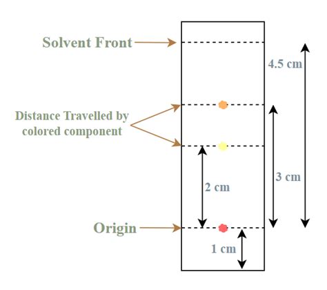 Retention Factor Formula Definition Examples And Faqs