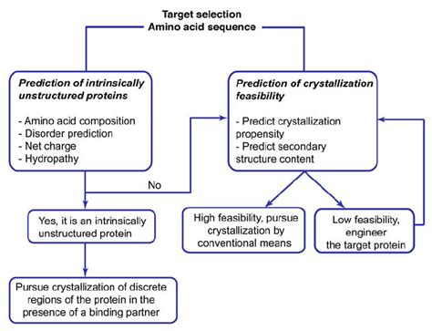 Schematic View Of Protein Primary Structure Analysis To Predict The