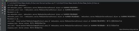 an example of using websocket developed by python