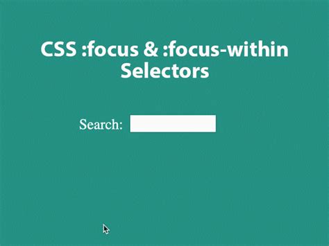 css focus and focus within selectors lena design