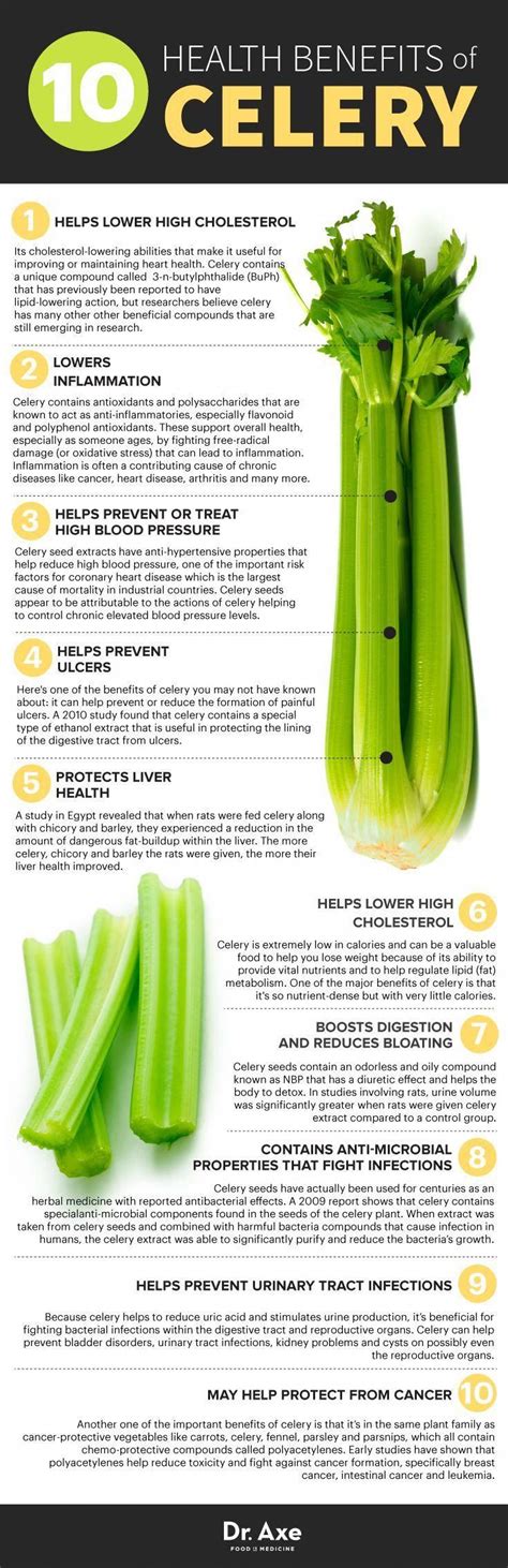 celery benefits introduce more veggies into your diet healthy eating