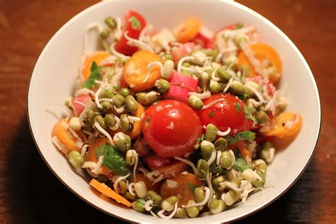 Sprouted Moong Gram Mung Bean Farm Salad Abcds Of Cooking